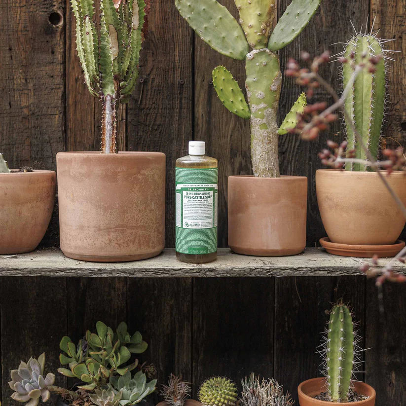 Dr Bronner's Almond all-one magic soap | Frenchlady.co – French Lady